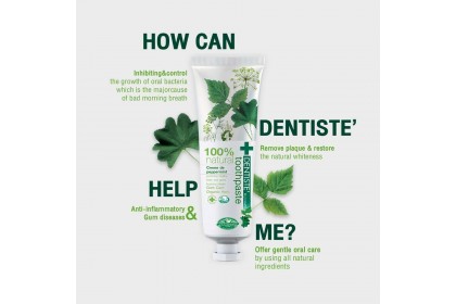 [MPLUS] DENTISTE 100% Natural Toothpaste Tube 100g